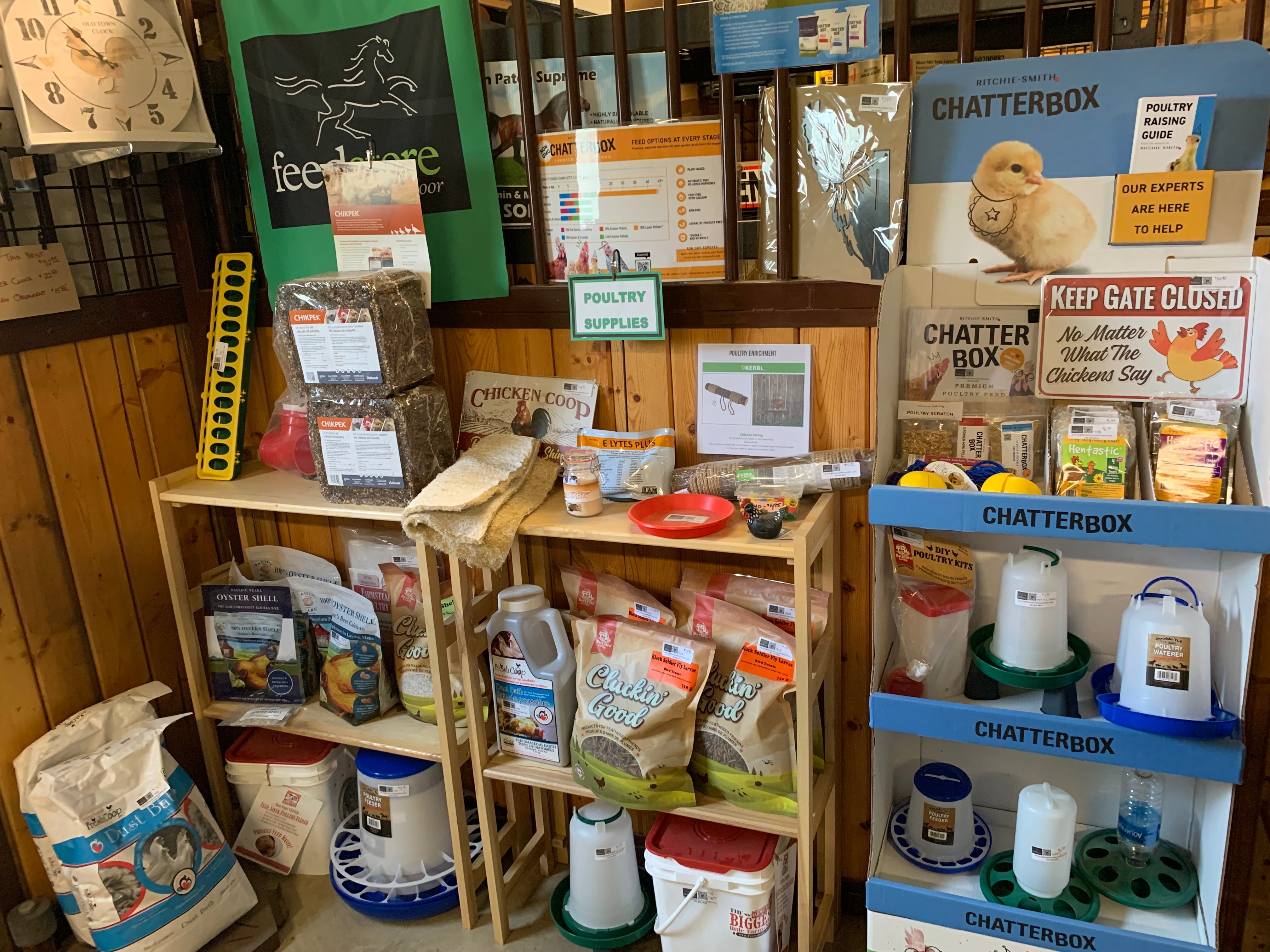 Poultry Feed & Needs – Feedstoretoyourdoor