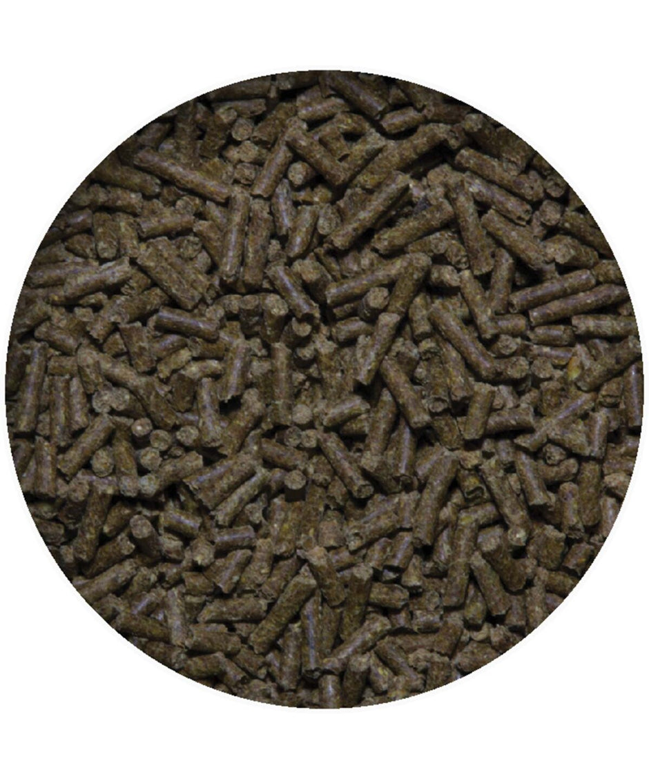 Purina Equine Feeds – Feedstoretoyourdoor