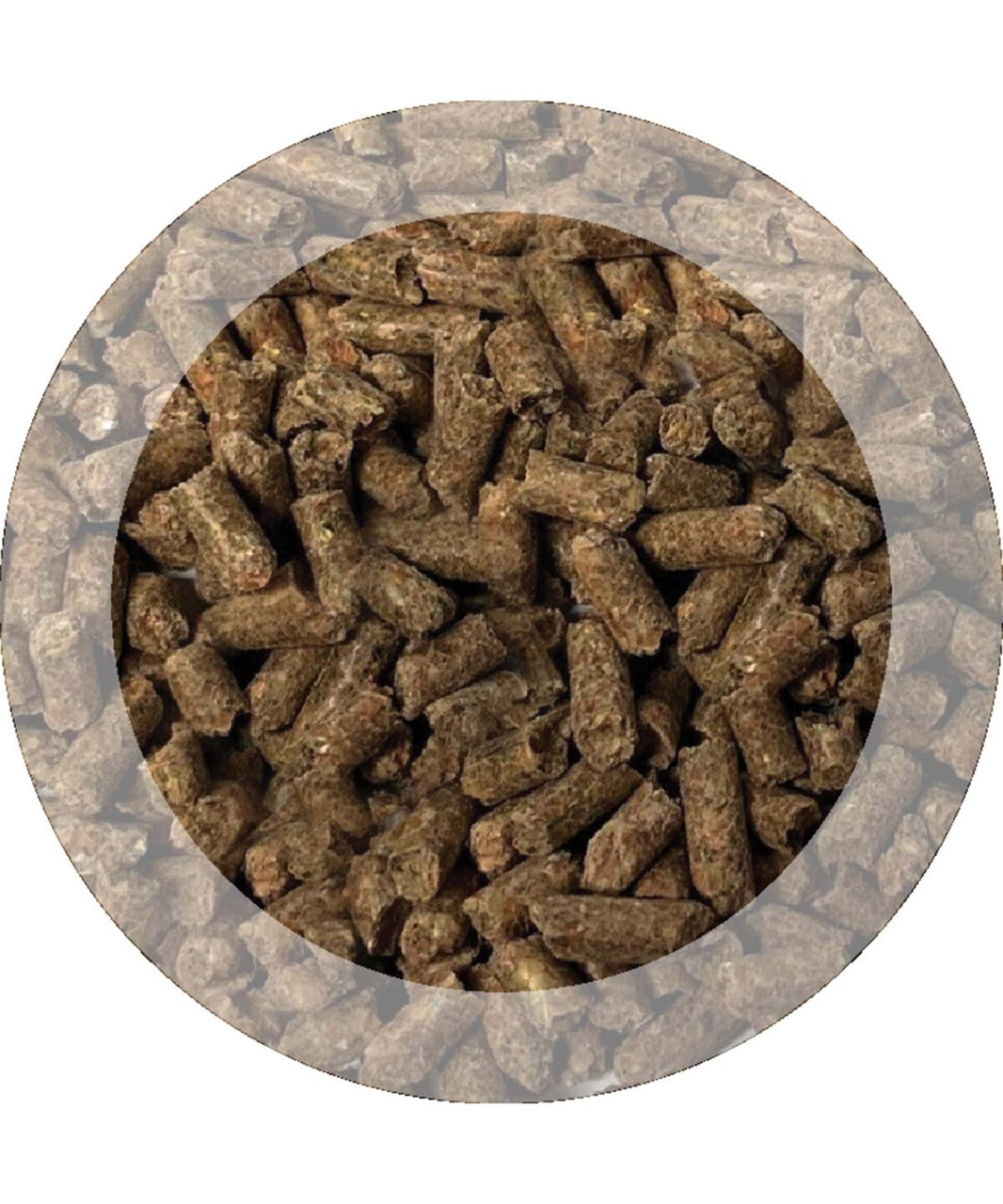 Purina Equine Feeds – Feedstoretoyourdoor