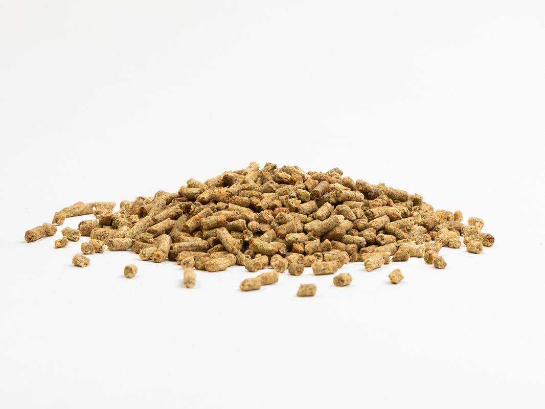 Step Right Horse Feed – Feedstoretoyourdoor