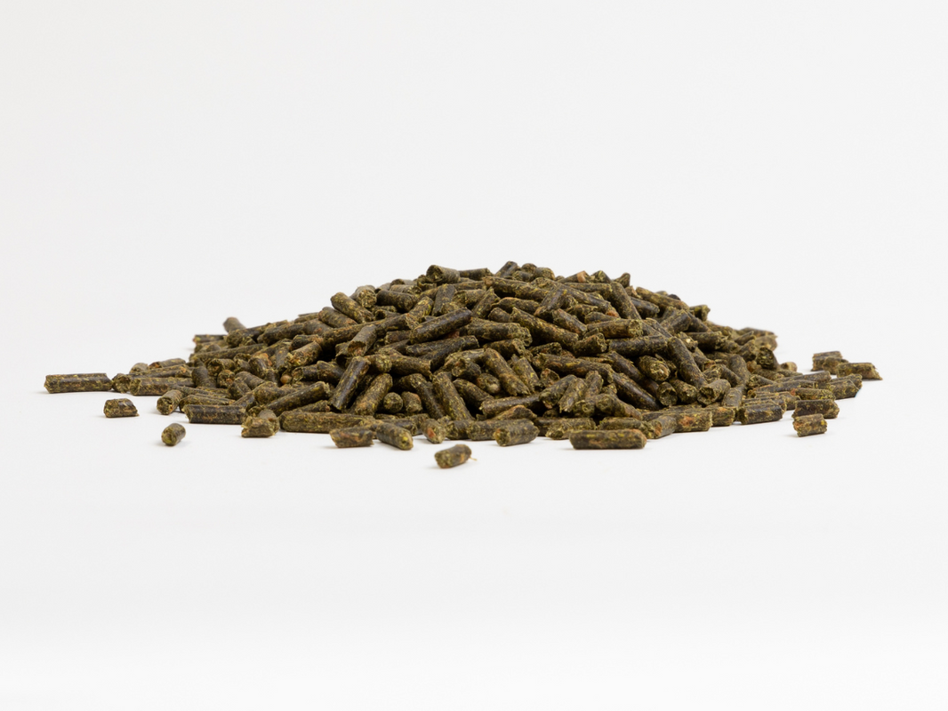 Step Right Horse Feed – Feedstoretoyourdoor